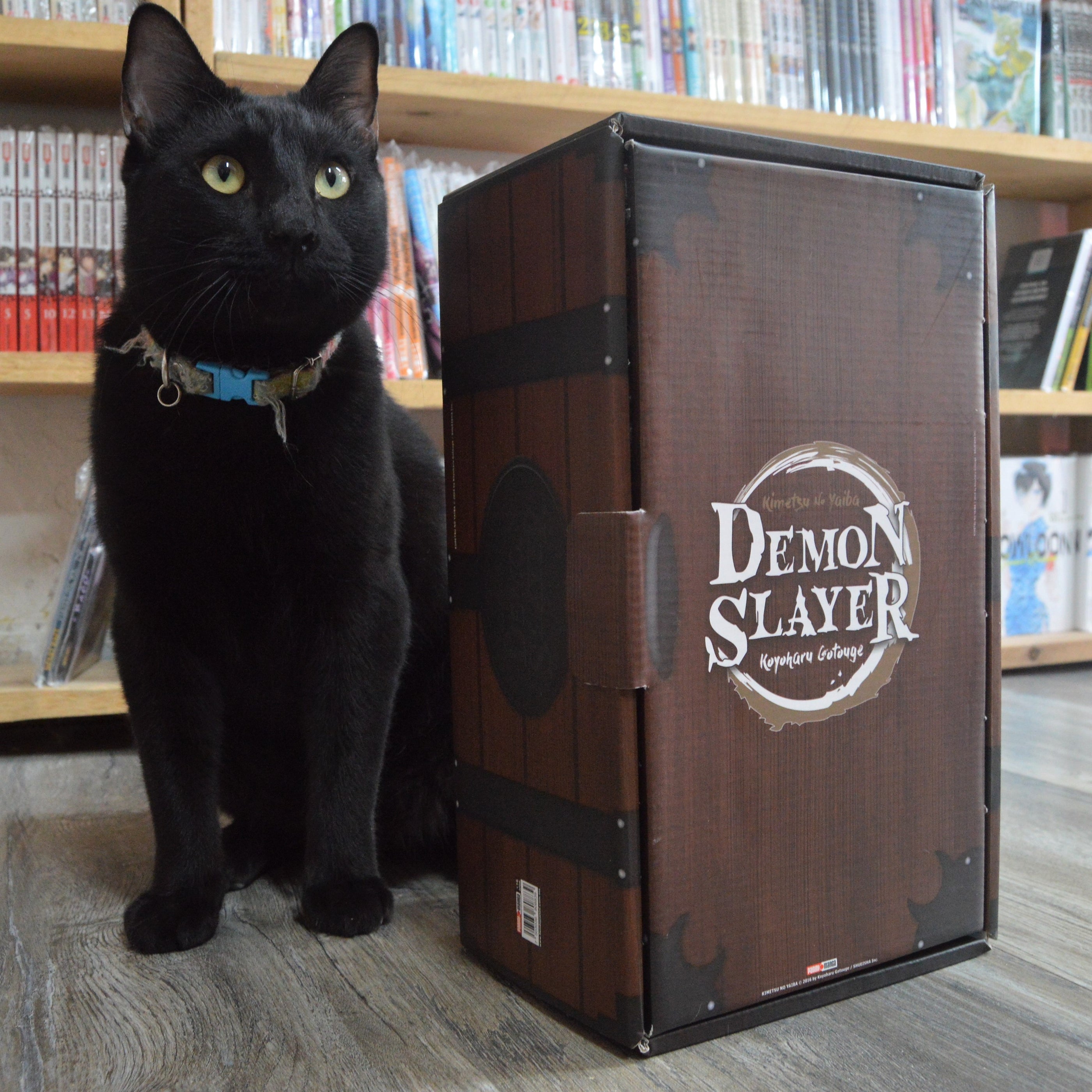 Demon Slayer Boxset (1-23) — Shin Sekai Manga & Comics